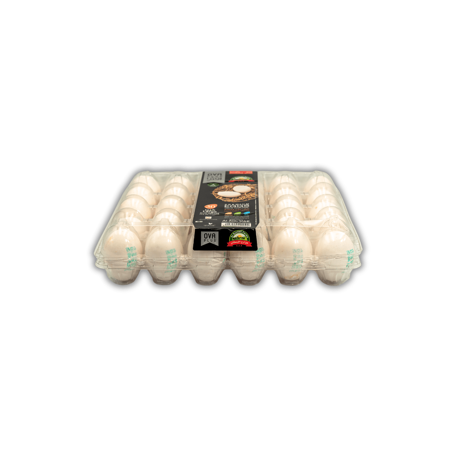 EGG FRESH 12TRAY x 30PC Fresh farm-sourced white chicken eggsPacked ...