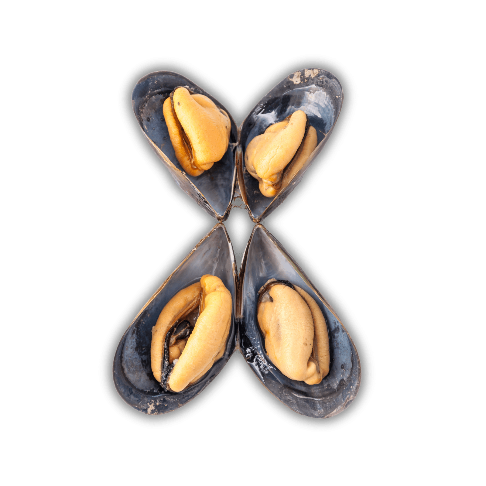 Frozen Mussels meat half shell 1kg x 12pcs Pre-cooked and frozen on the ...